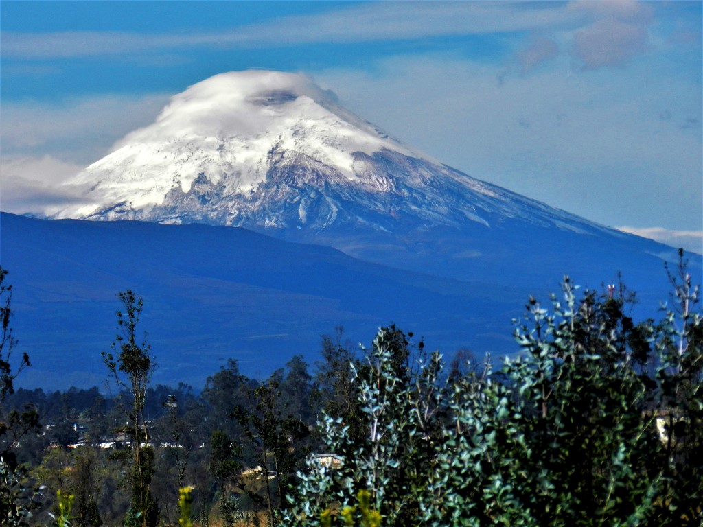 Flussblüte, Amazonasgrün, Wüstenrot und weiße Vulkane: Sonderreise ...